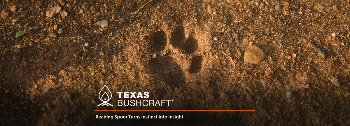 Animal Tracking Basics – Using Spoor to Survive in the Wild – Texas ...